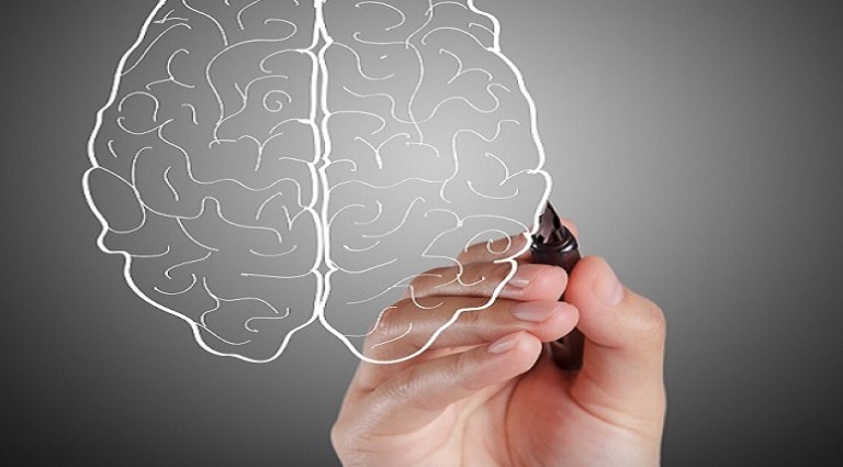 learning through drawing: developing visual literacy | open access learning